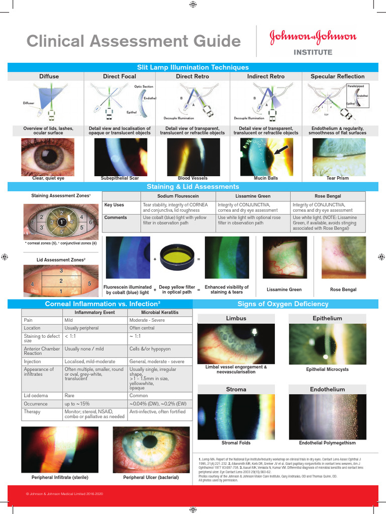 Grading Scale Jji t2802 - Johnson Johnson Institute Assets v1 1 | PDF