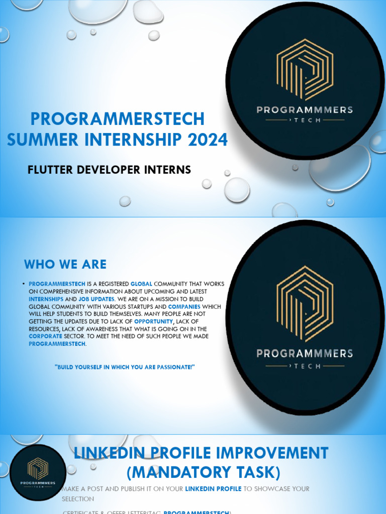 Flutter_Developer_ProgrammersTech_Summer_Internship_2024.pptx | PDF