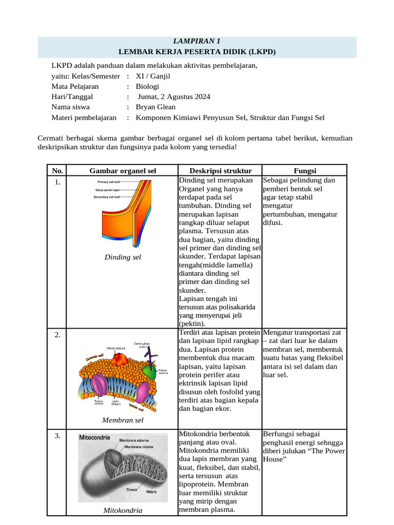 Biologi 6 | PDF