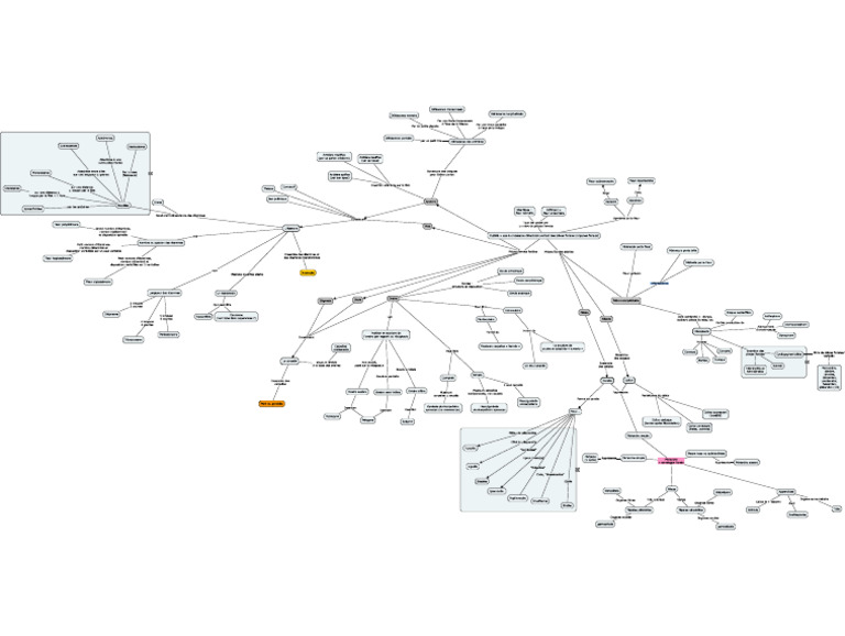 Angio Cmap Organographie | PDF