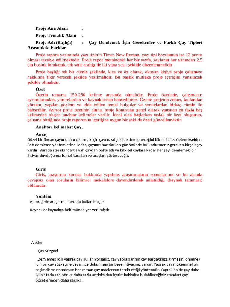 Proje Yazma Sablonu | PDF