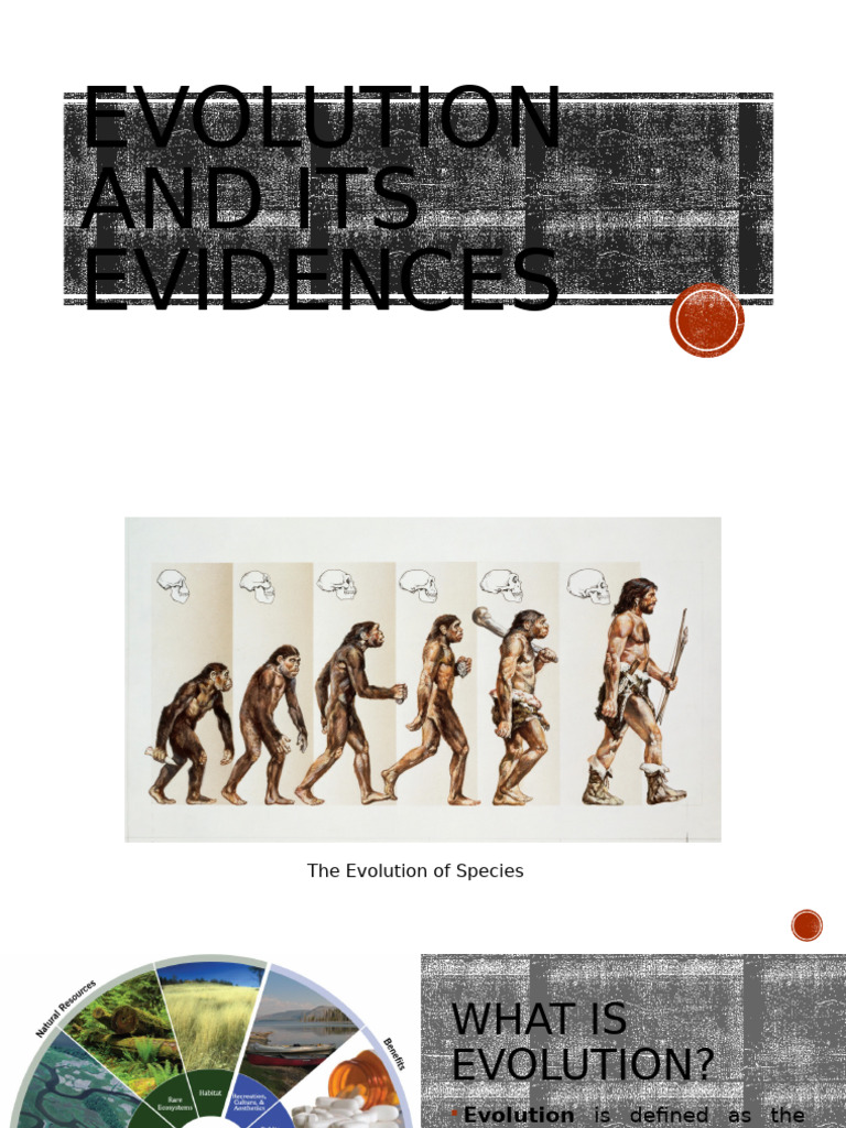 Evolution and Its Evidences | PDF