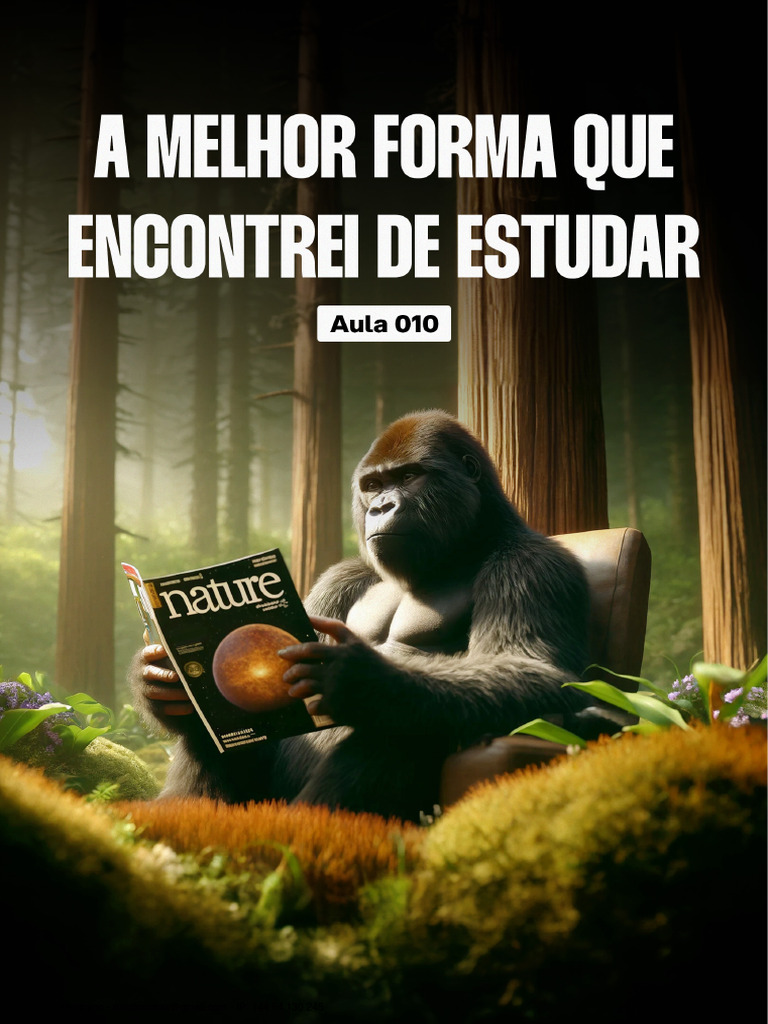 010 - A Melhor Forma Que Encontrei de Estudar (Interativo) | PDF