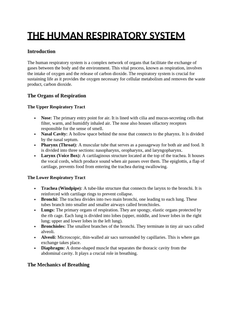 Unit 1.1-The Human Respiratory System | PDF