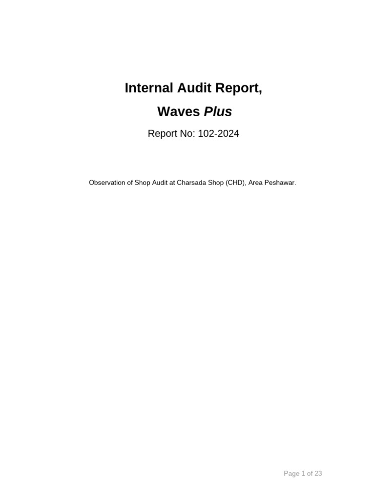 CHD-May-13-2024 Internal Audit Report V01 | PDF
