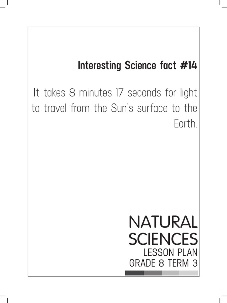 GR 8 Term 3 2019 Ns Lesson Plan | PDF