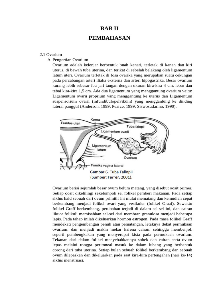 Materi Anfis Ovarium Dan Hormon | PDF