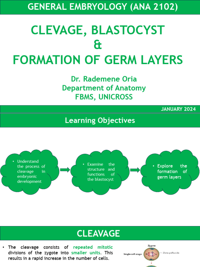Clevage, Blastocyst and Germ Layers | PDF | Anatomy | Foreign Language ...