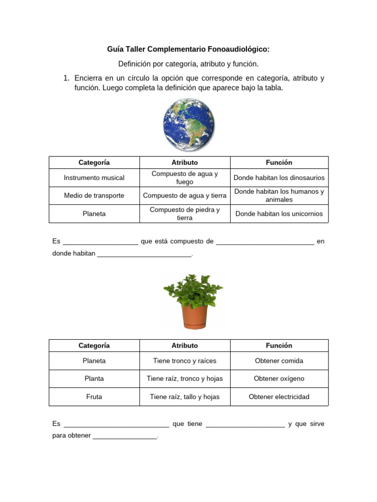 Guía Definición Categoria Atributo y Función | PDF
