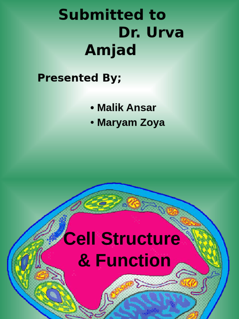 Anatomy Presentation, Cell - Structure - Group Number 05. | PDF | Cell ...