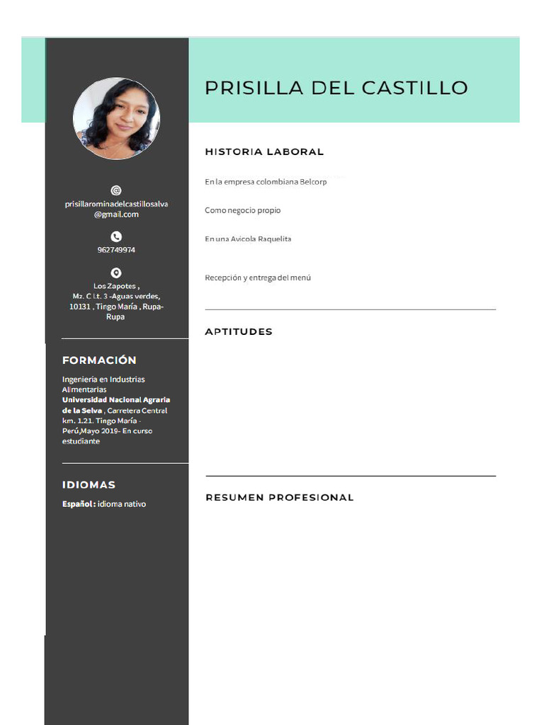 CV - Del Castillo S. | PDF