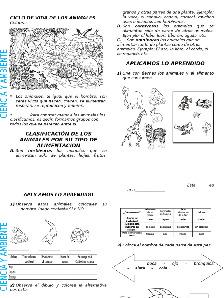 Ciclo de La Vida | PDF