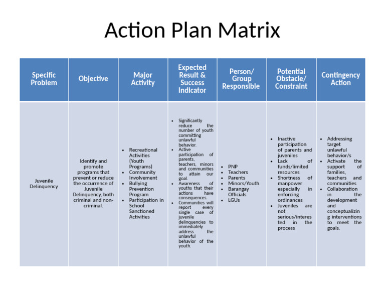 Action Plan Matrix | PDF
