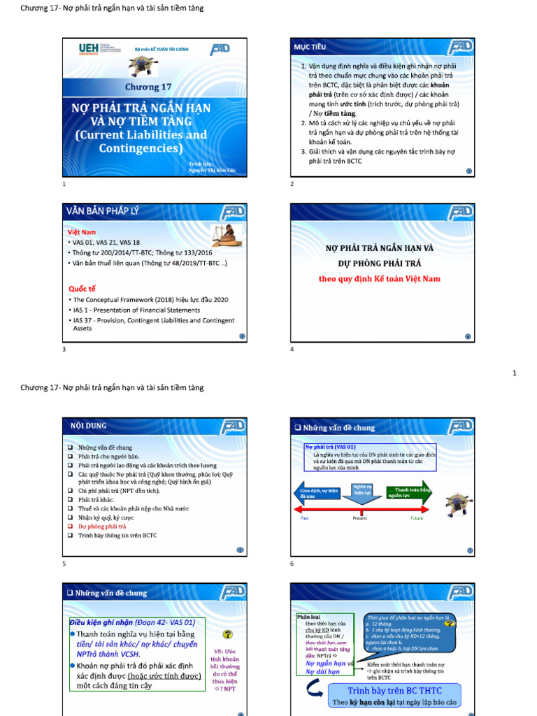 C17 NPT Ngan Han Và No Tiem Tang | PDF