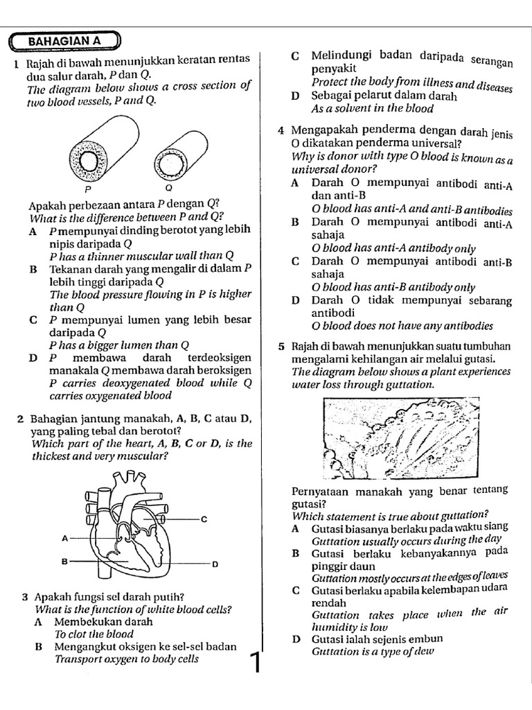 Science Revision 3 Form 3 Chapter 3 | PDF