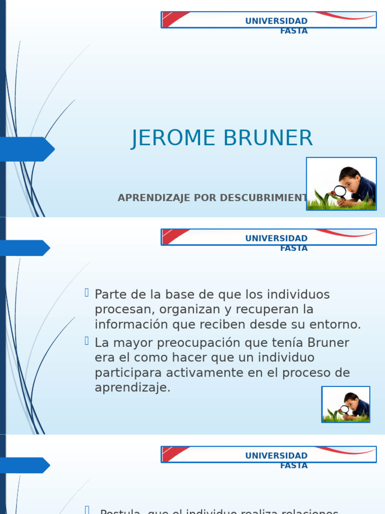 Jerome Bruner | PDF
