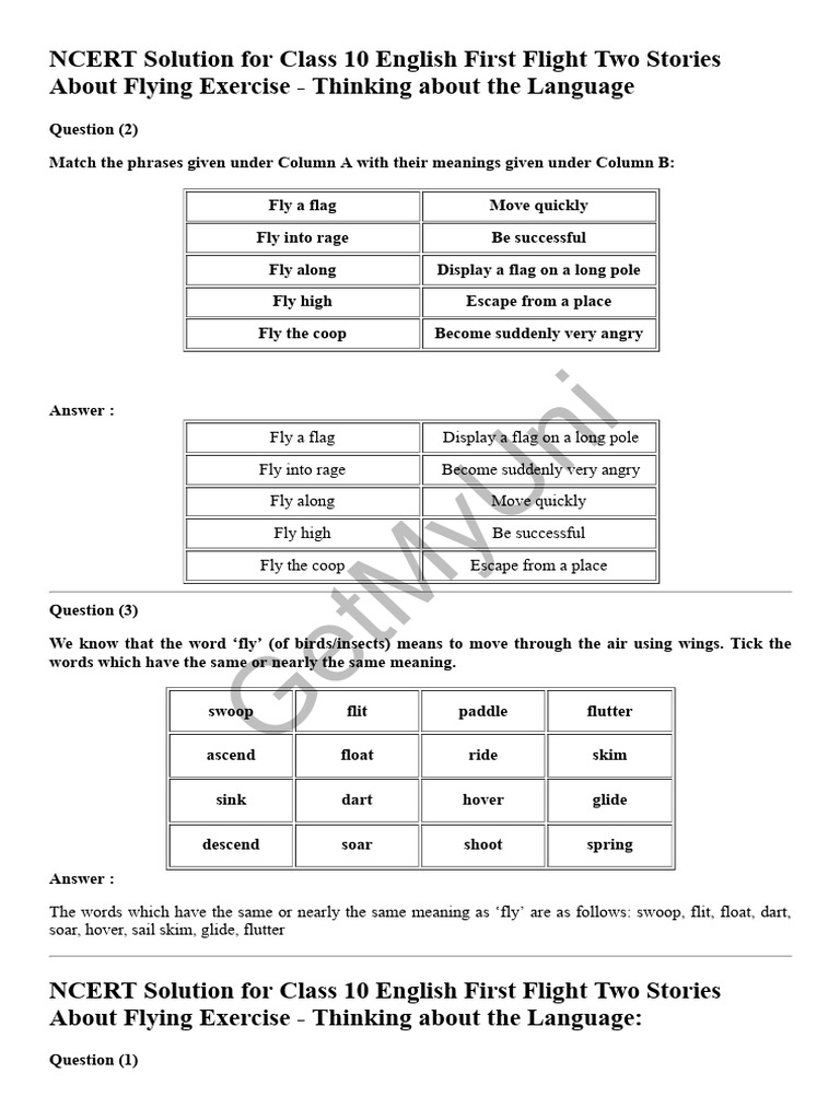 10 English First Flight Two Stories About Flying | PDF