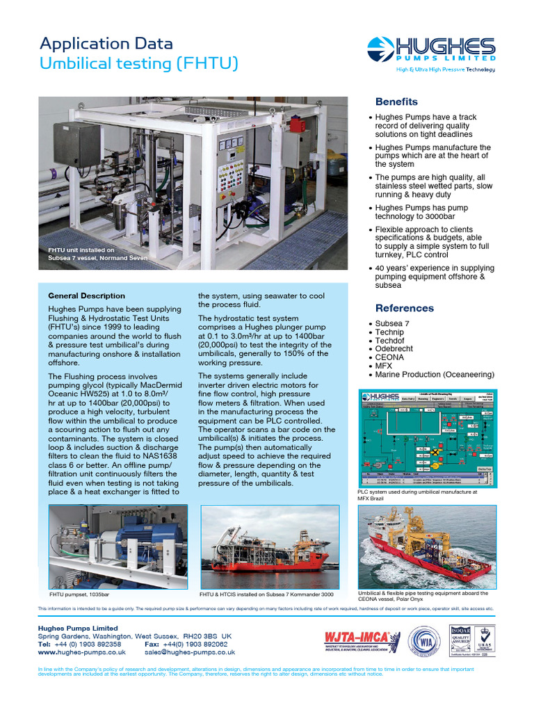Umbilical Testing FHTU | PDF