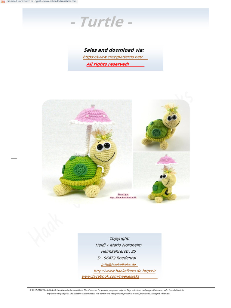 Big Eye Turtle - Nl.en | PDF