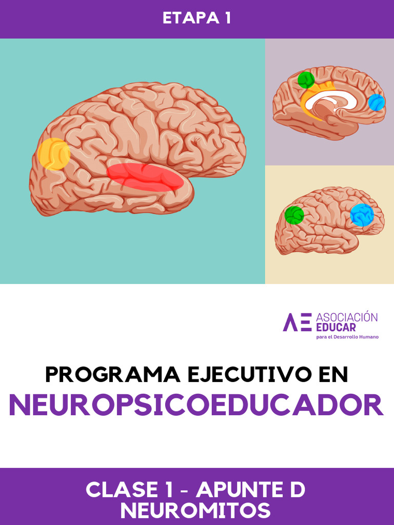 Clase 1 - Apunte D - Neuromitos | PDF | Neuroplasticidad | Neurona