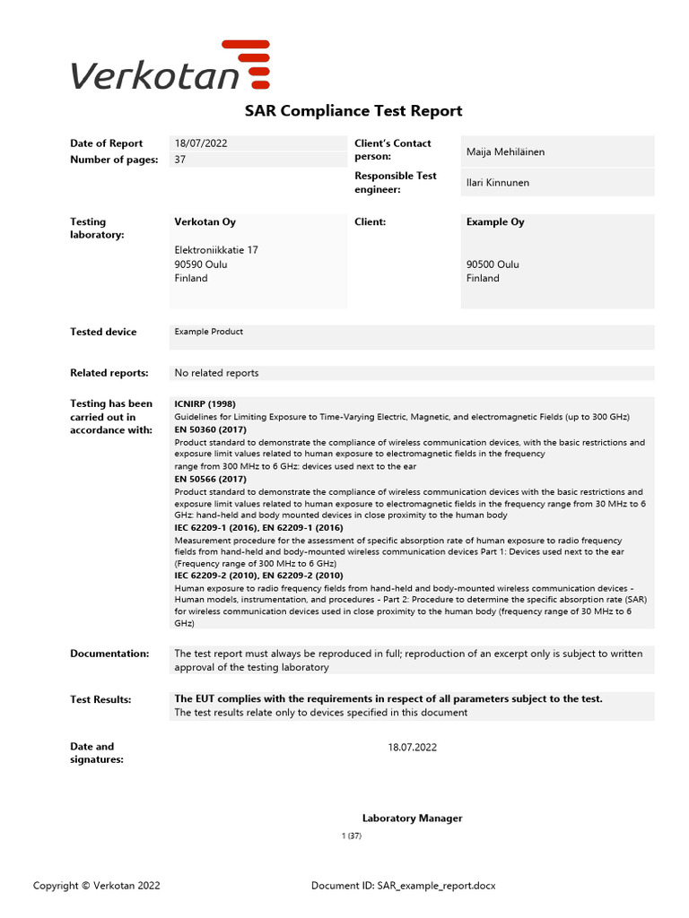 SAR Example Report | PDF