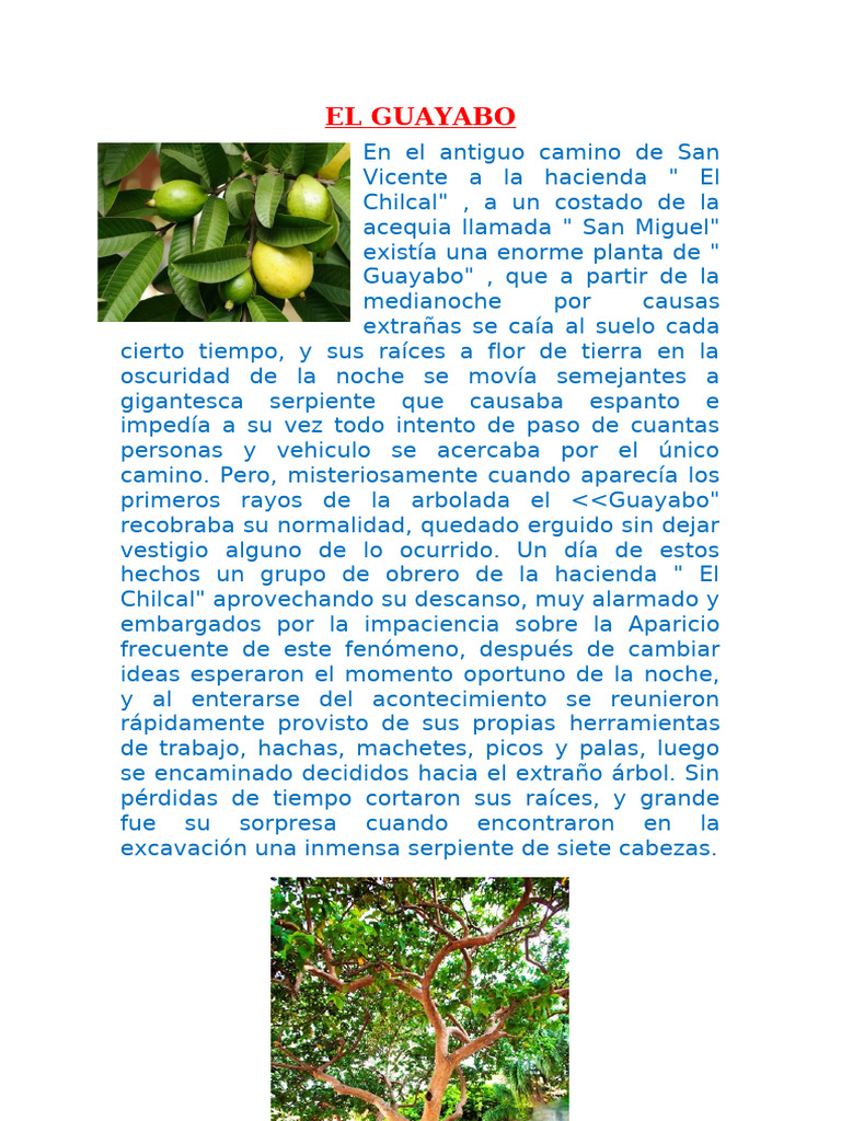 EL GUAYABO Leyenda Cañete | PDF