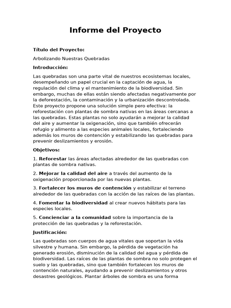 Informe Del Proyecto | PDF