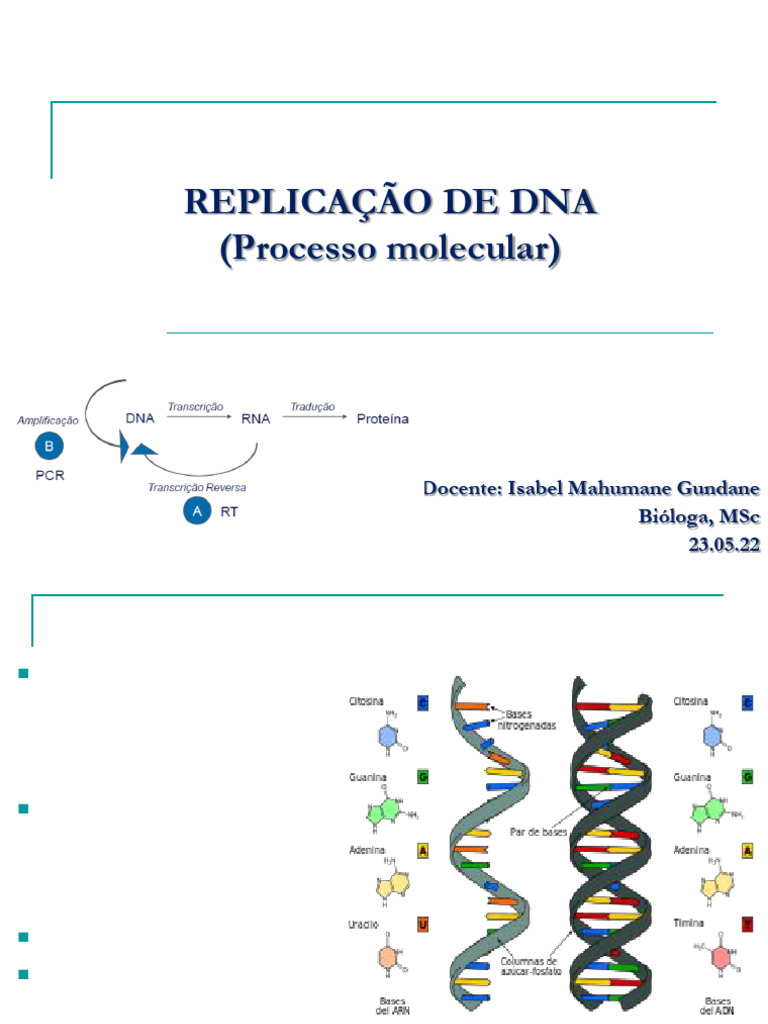 Aula 3-Replicacao de DNA Processo Molecular | PDF