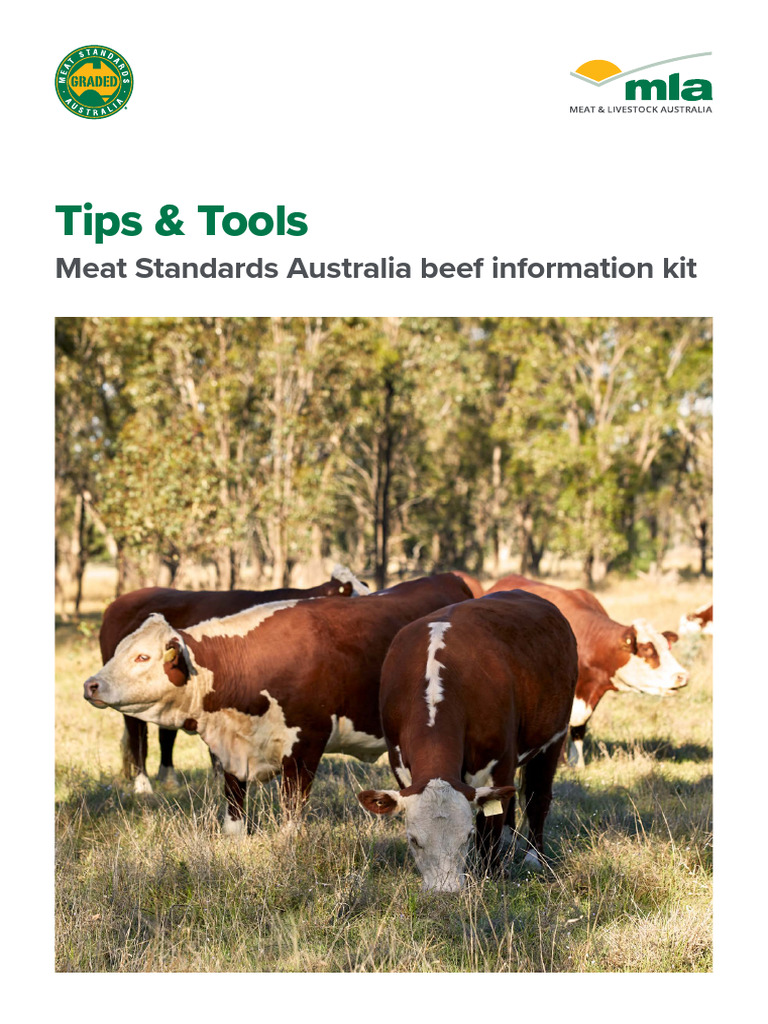 Msa Mla Tips and Tools Msa00 Complete Booklet v02 | PDF