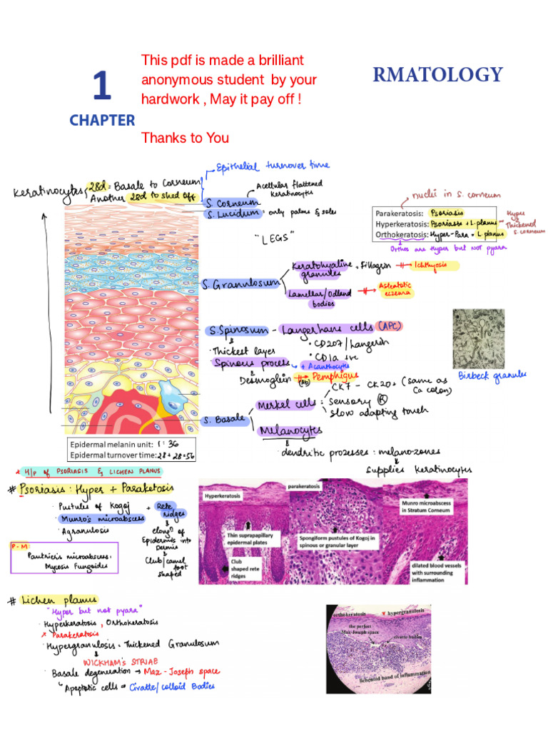 BTR by DR Zainab Vora Complete Annotated | PDF