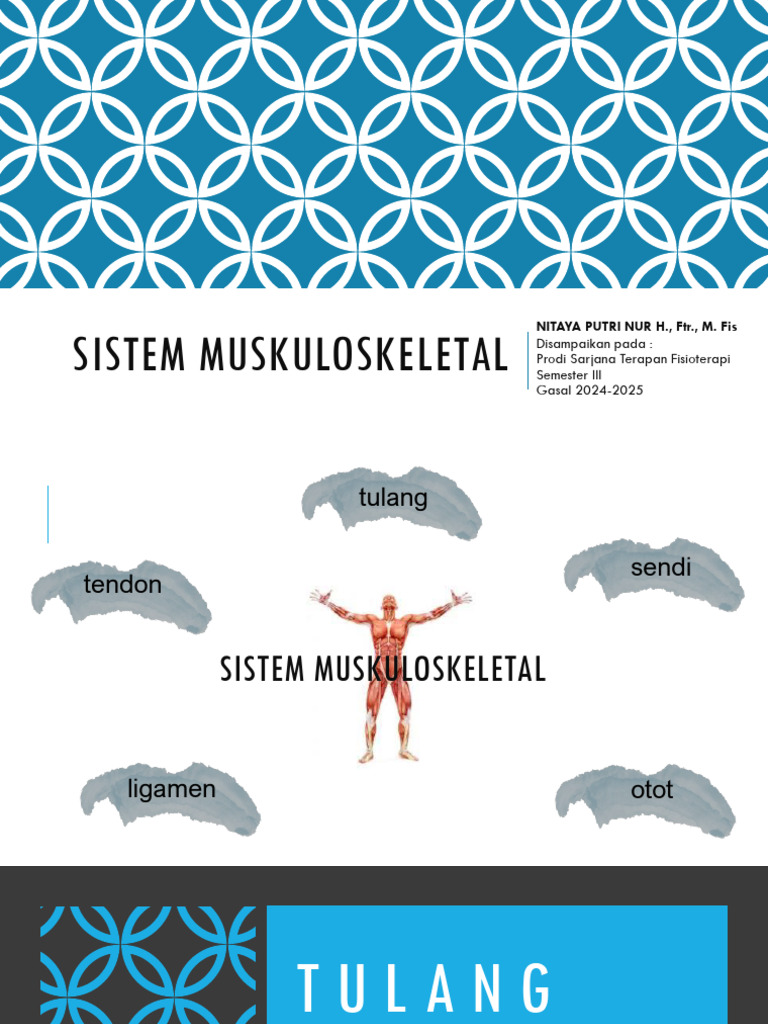 Sistem Muskuloskeletal-1 | PDF