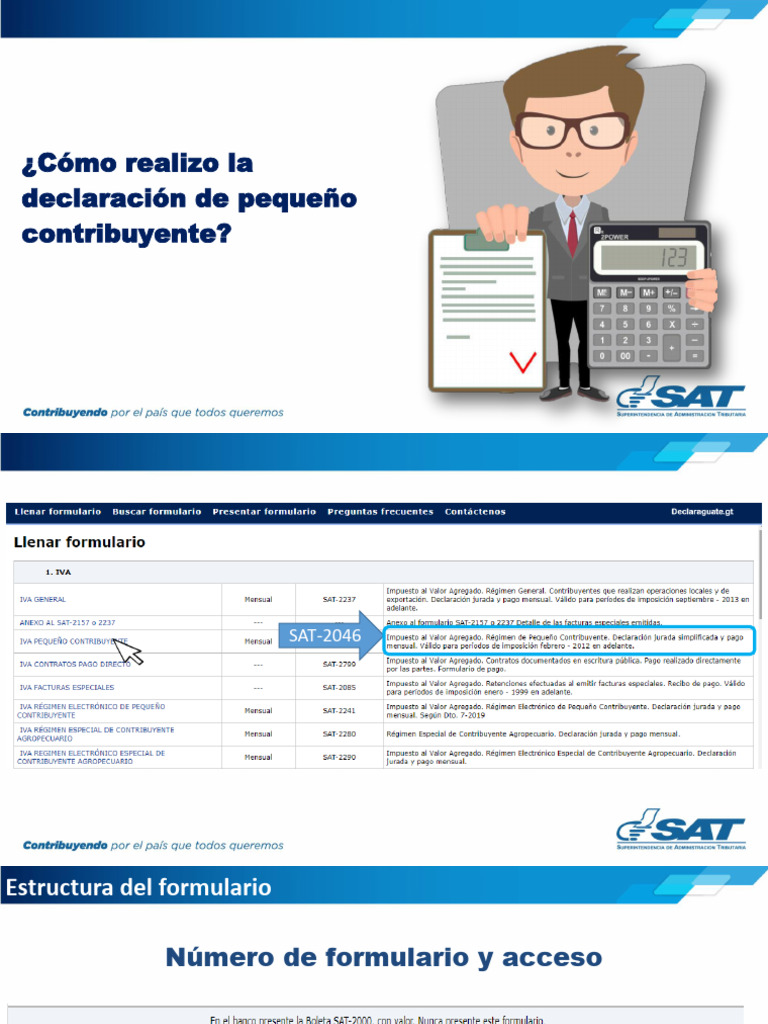 Llenado de Formulario SAT 2046 | PDF