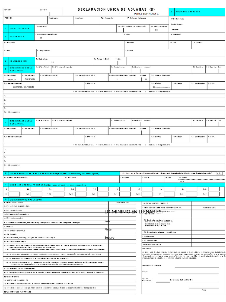 Declaracion Aduanera - Formato - B | PDF
