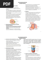 Anatomia das Vísceras Humanas | PDF | Corpo humano | Anatomia