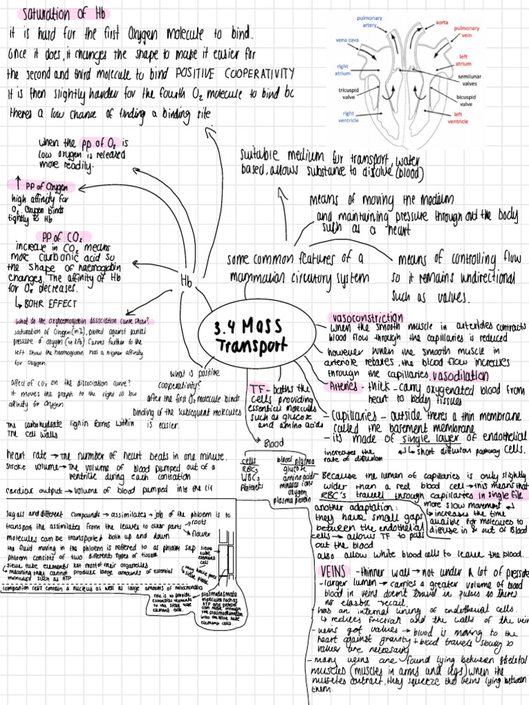 Home Revision | PDF