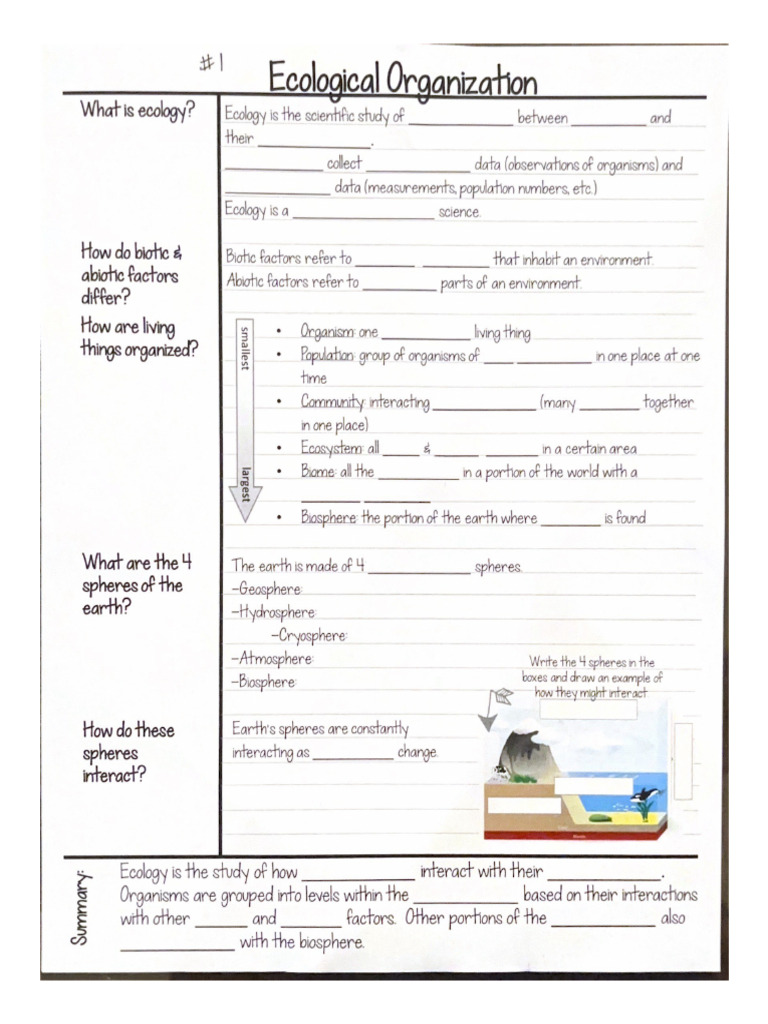 #1 Ecological Organization | PDF