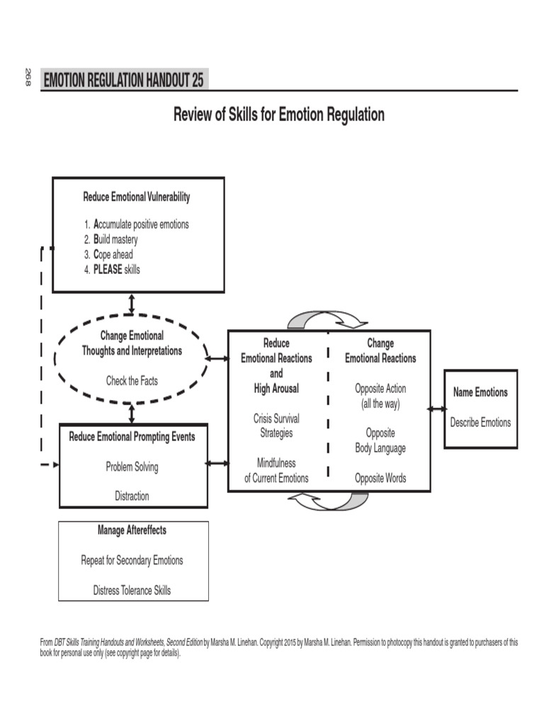 Emotion Regulation | PDF