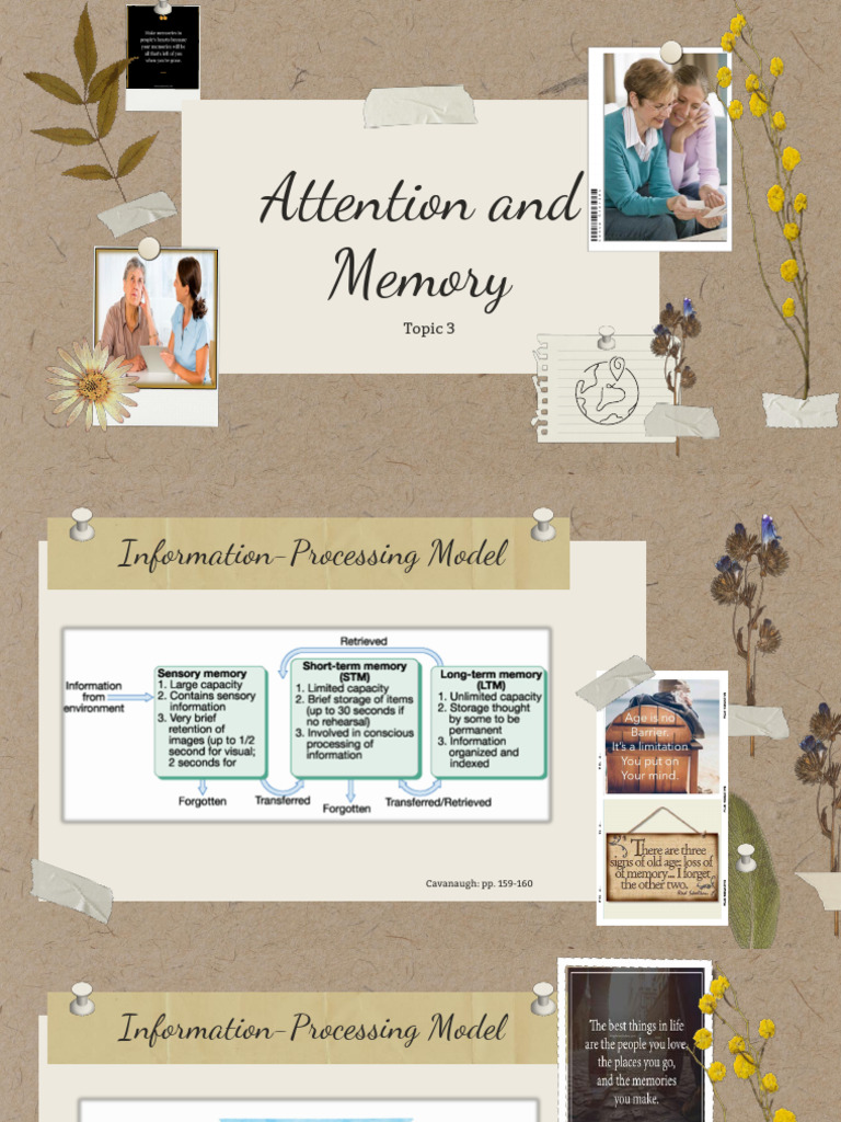 Week 3 - Attention and Memory | PDF
