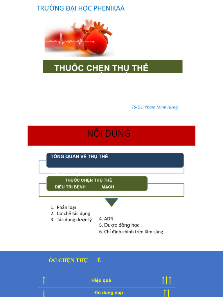 Thuoc Chen Beta PDF | PDF