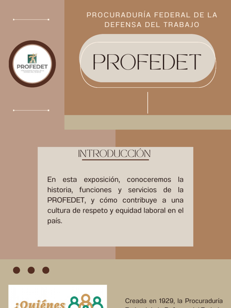 Qué Es La PROFEDET? | PDF