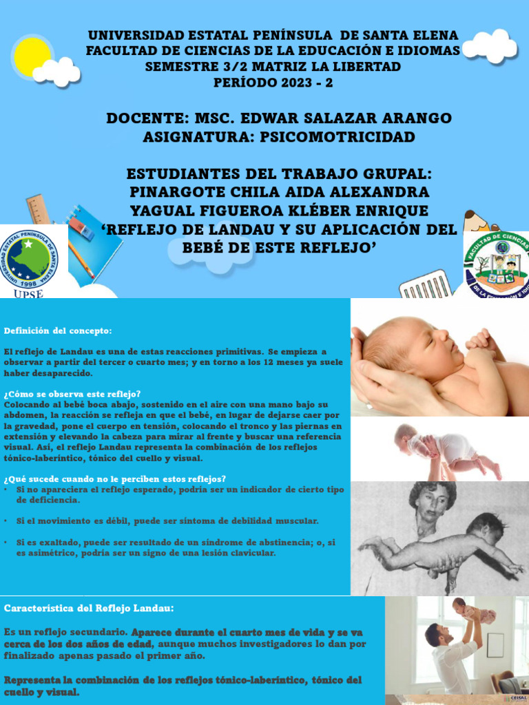 Reflejo de Landau en Bebés: Evaluación y Características | PDF ...
