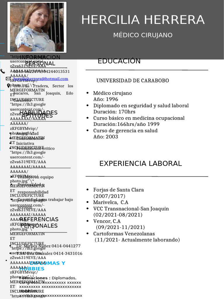 233-curriculum-vitae-profesional-para-trabajo-97-2003 | PDF