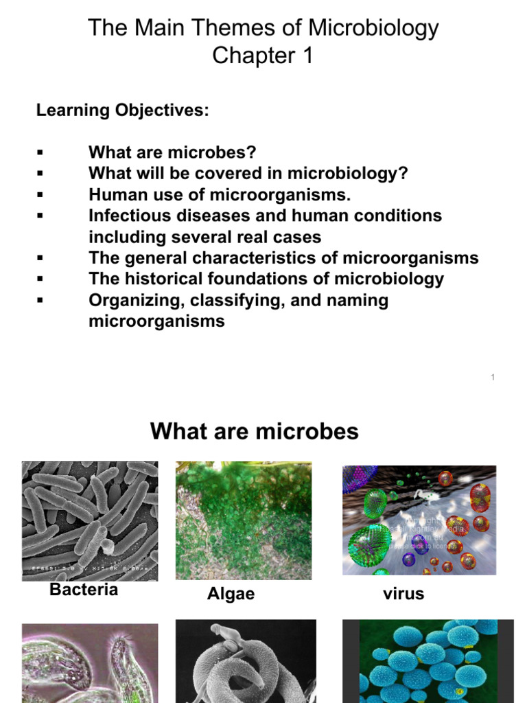 Micro Lecture - CH 1 | PDF | Microorganism | Cell (Biology)
