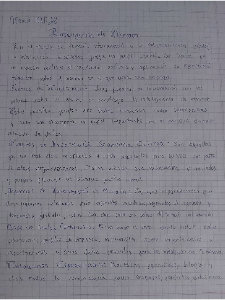 Inteligencia de Mercado | PDF