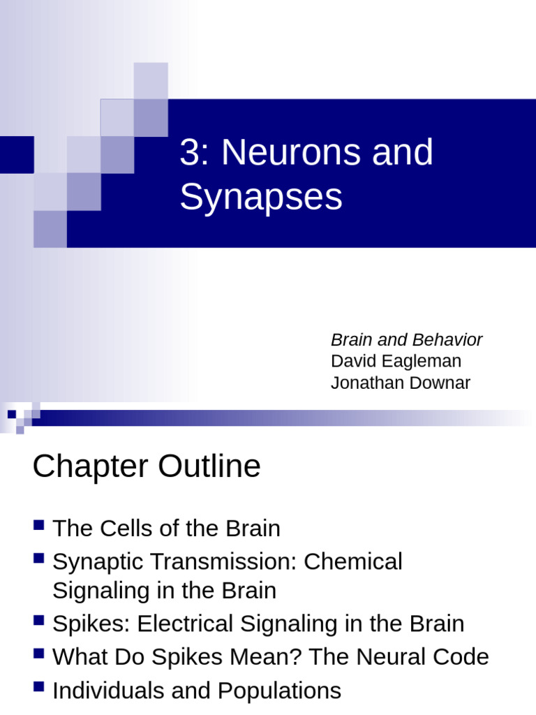 ch3 - Neurons - and - Synapses Balajim | PDF