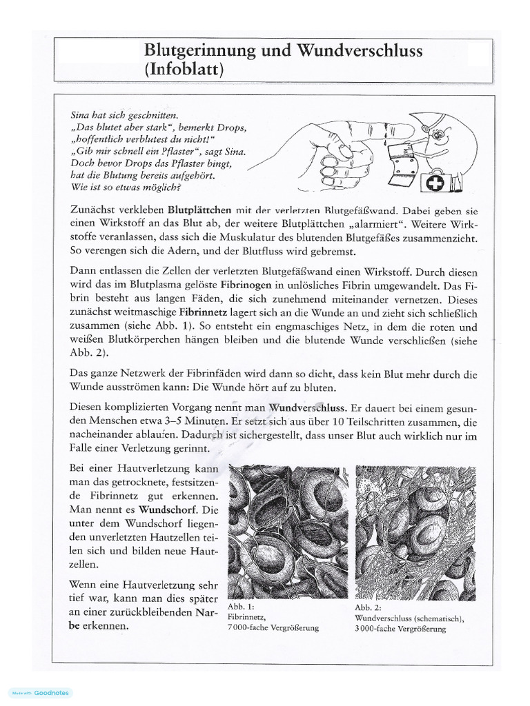 8 Biologie 6 | PDF