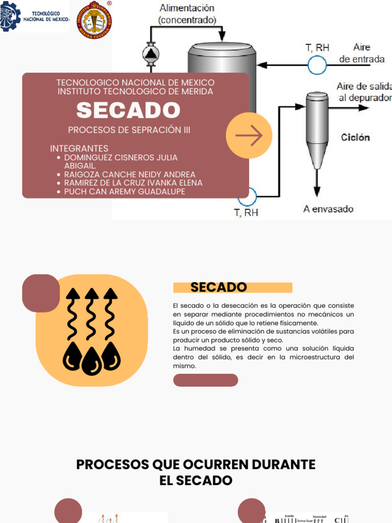 Secado Pdf