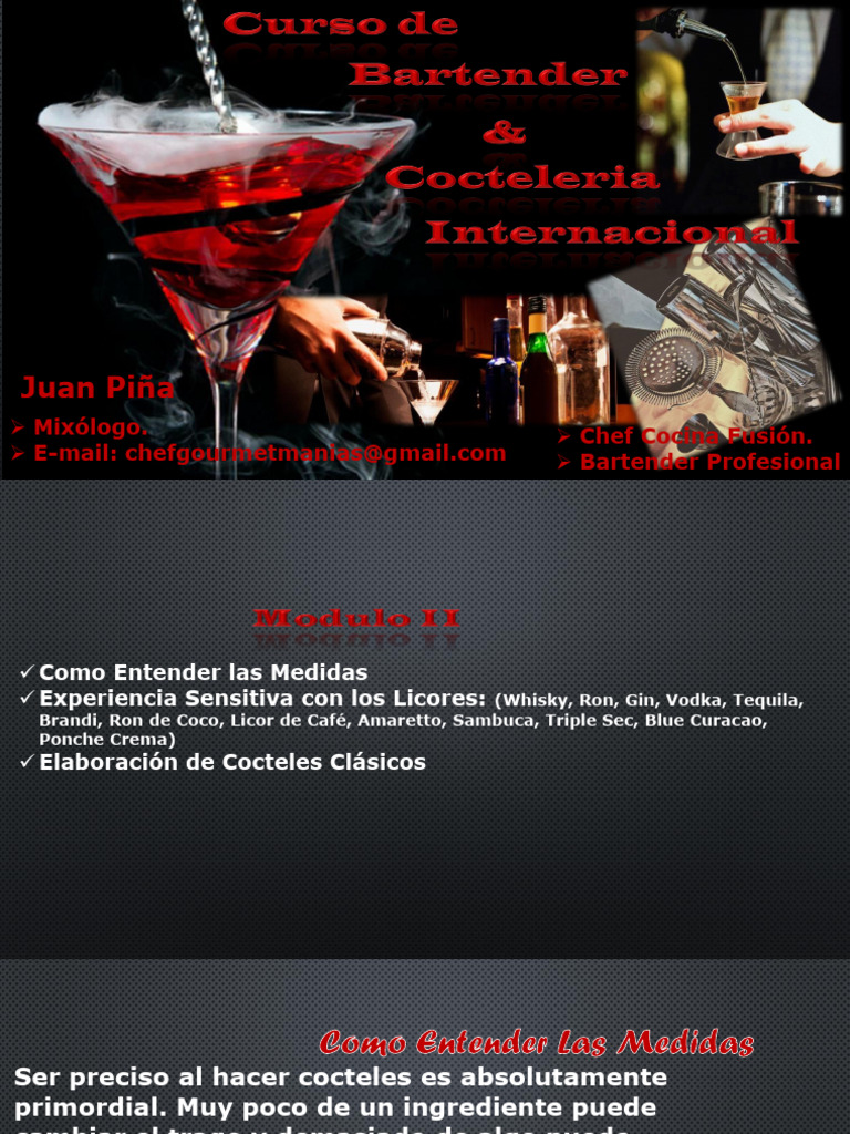 2-Bartender Profesional (Modulo II) | PDF