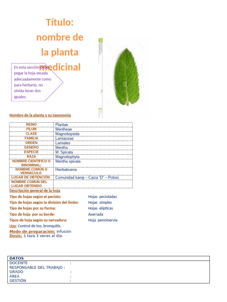 Herbario Medicinal Pdf