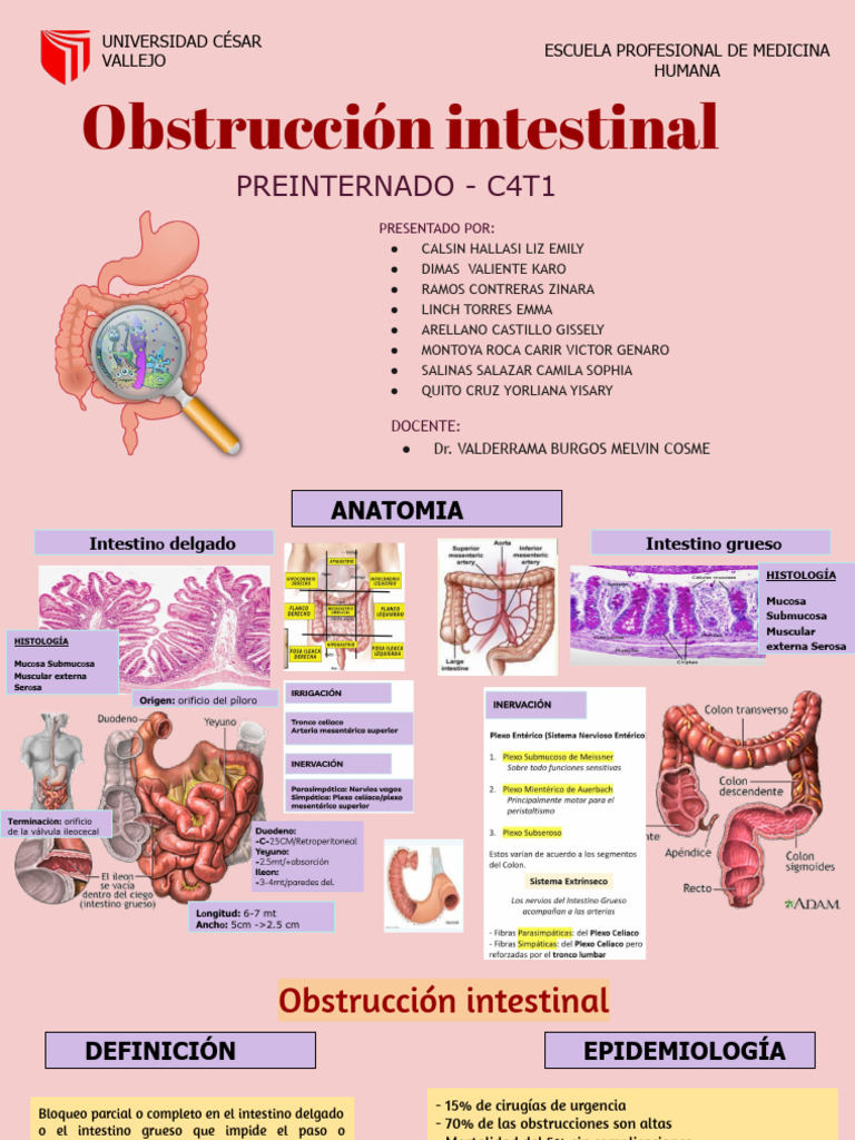 Obstrucción Intestinal | PDF